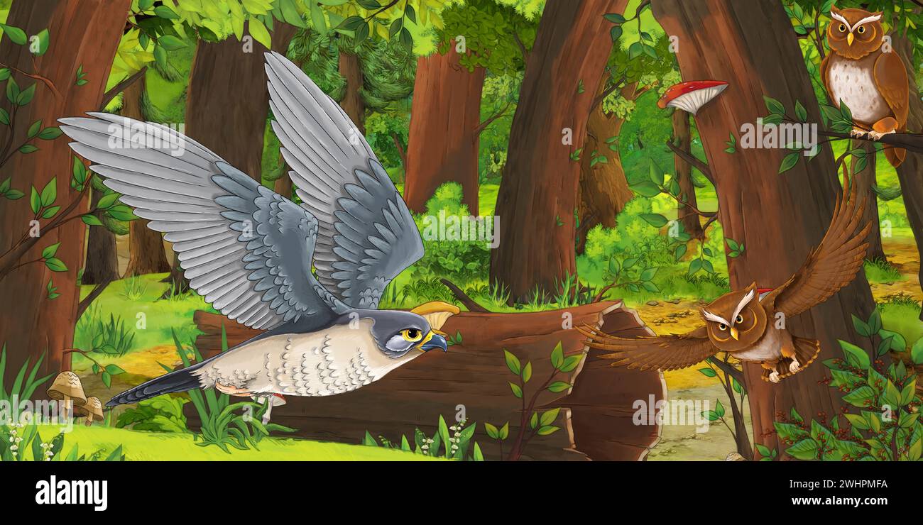 cartoon summer scene with deep forest and birds owls and some other ...