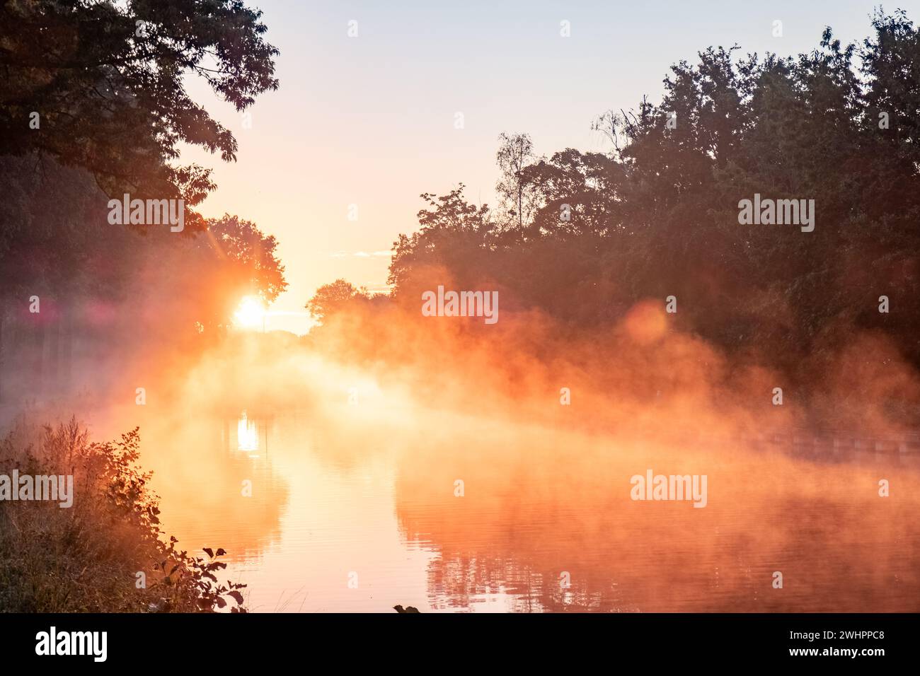 Mystical Sunset Mist Over Canal: Golden Rays Illuminating Tranquility ...