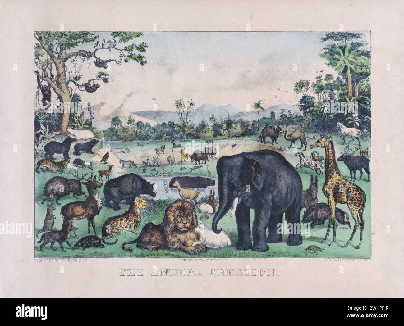 The Animal Creation. Sitting animals from all continents hanging ...