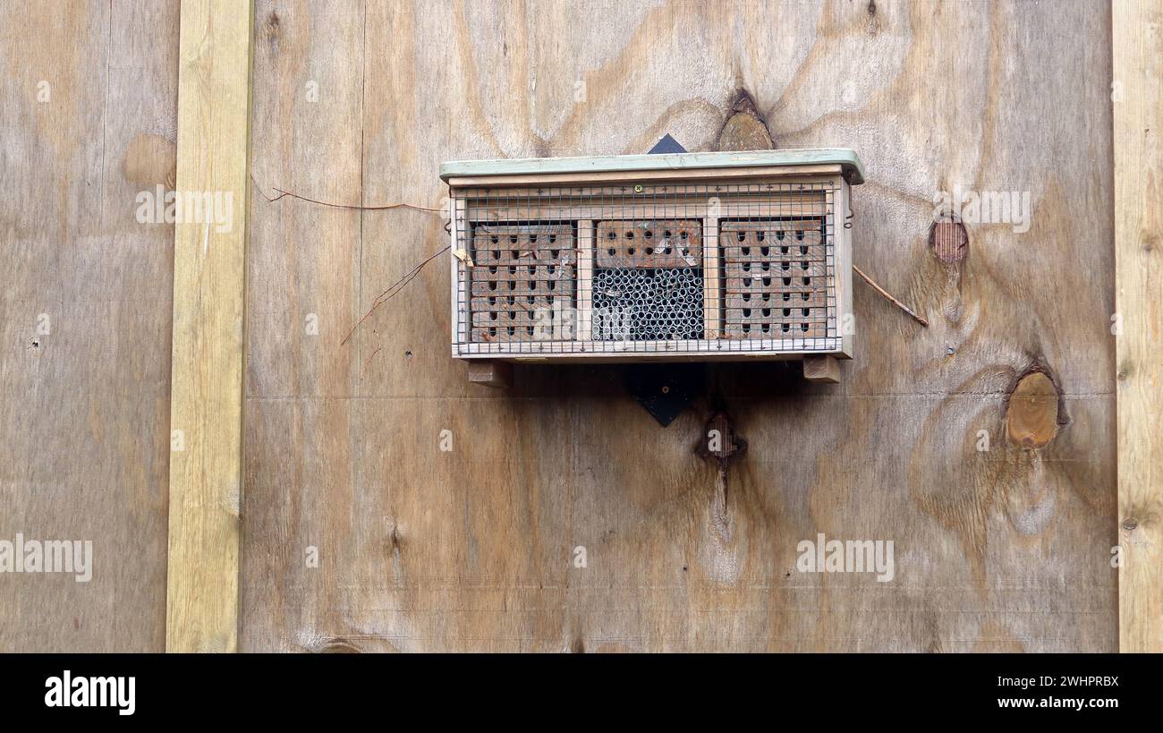 Wooden bugs hi-res stock photography and images - Alamy