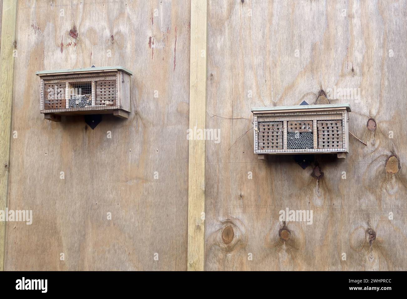 Bug houses hi-res stock photography and images - Alamy