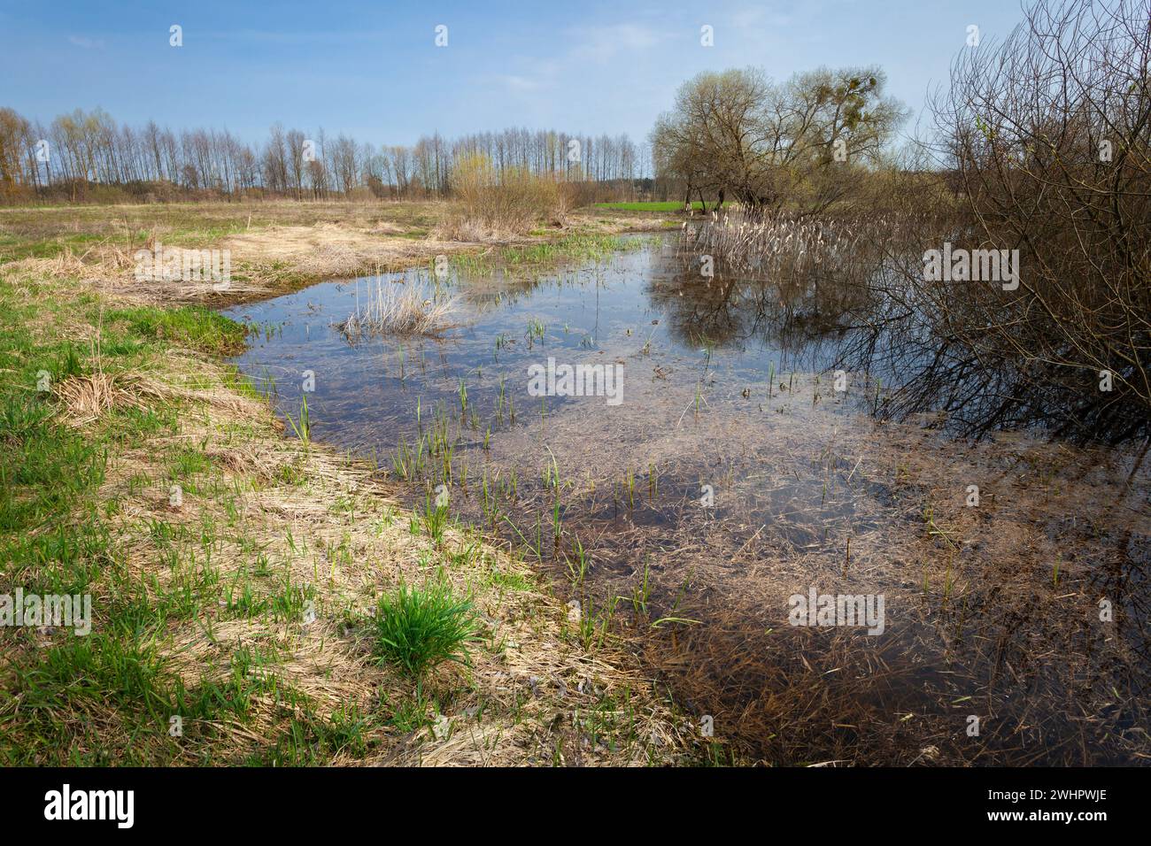 Wet grass land hi-res stock photography and images - Alamy