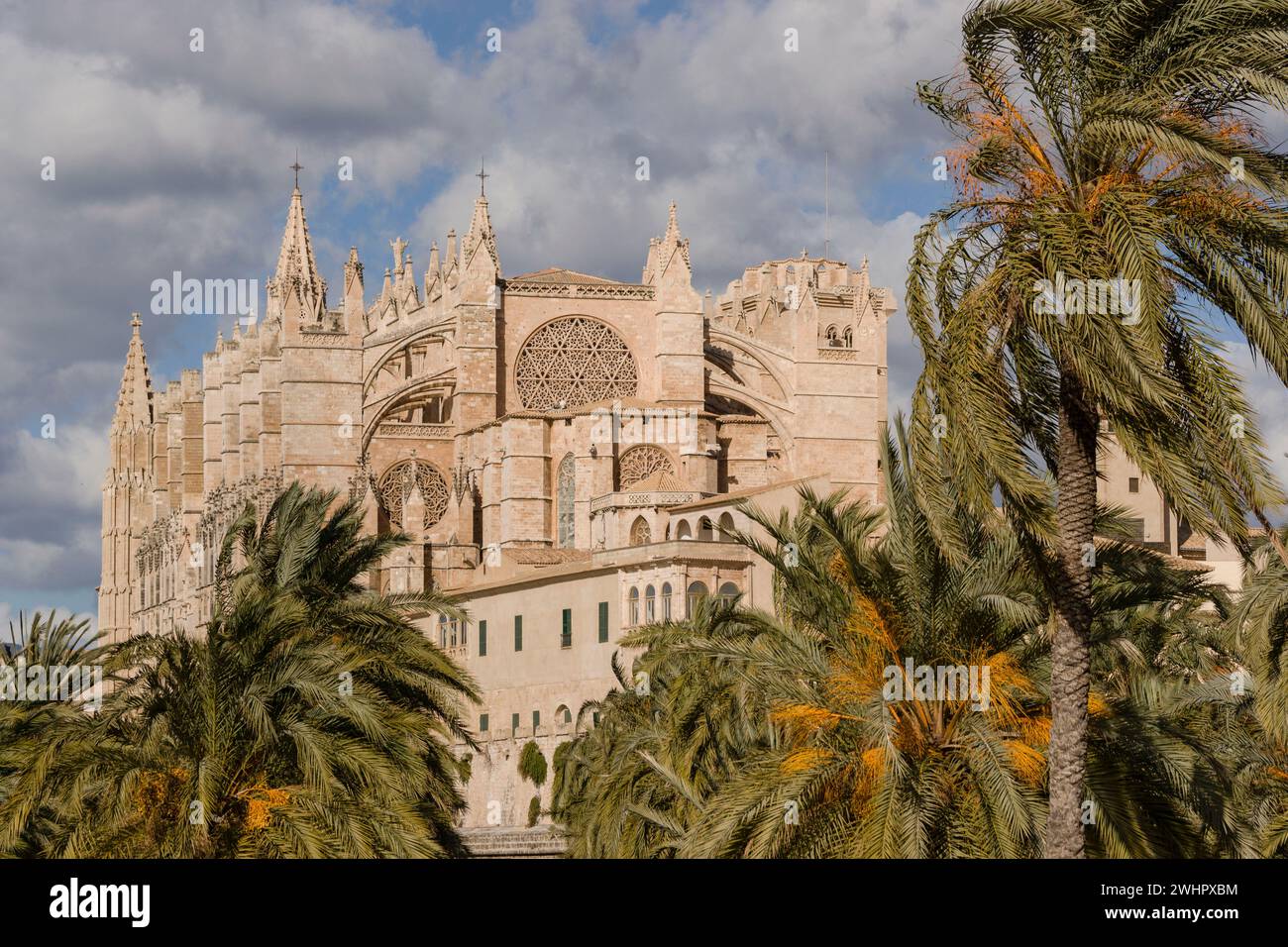 Iglesia de santa iglesia catedral de mallorca hi-res stock photography ...