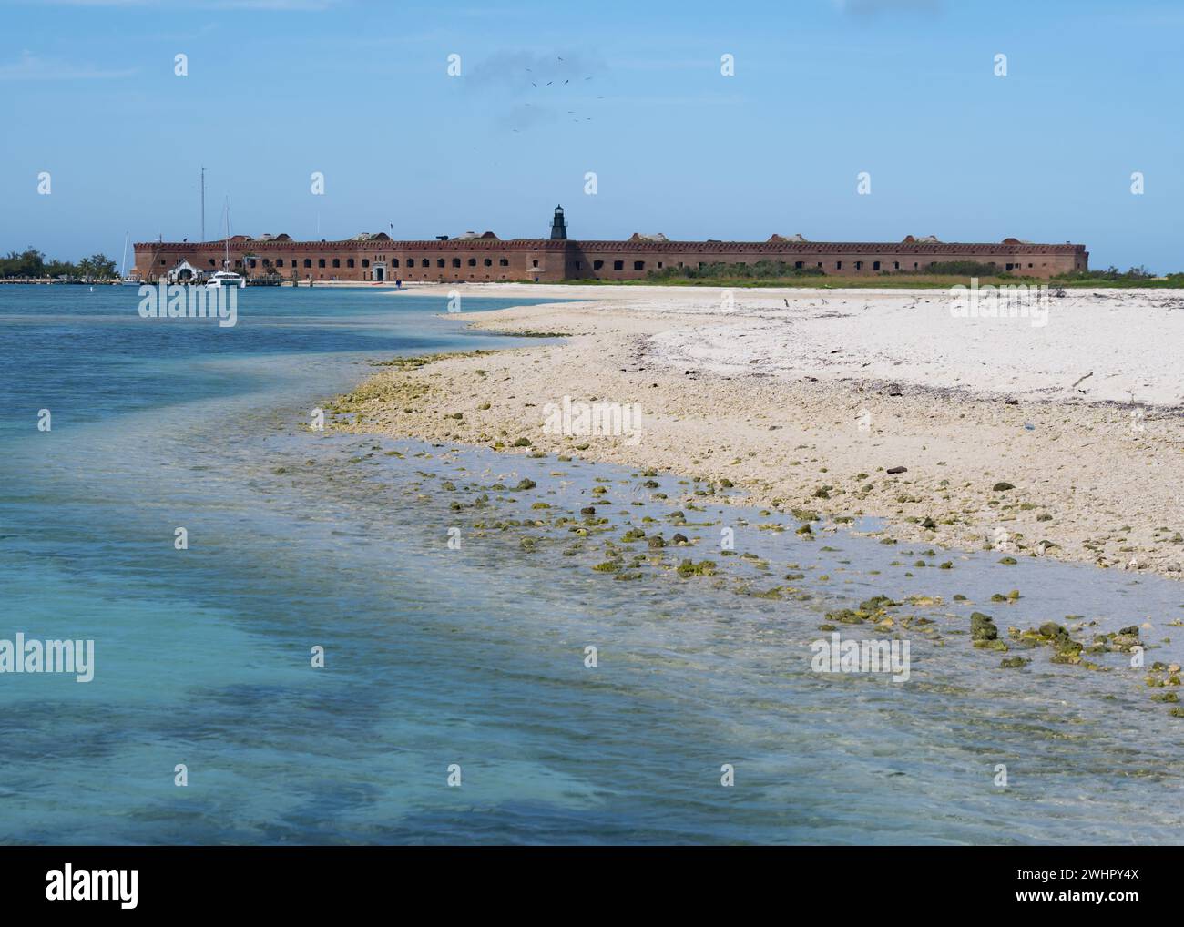 Fort Jefferson, Garden Key, Gulf of Mexico, Gulf of Mexico, Dry ...