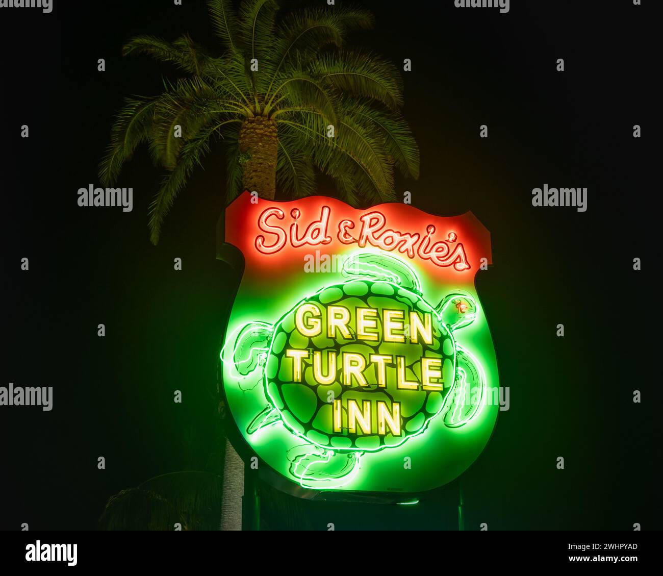 Neon 2024 hi-res stock photography and images - Alamy