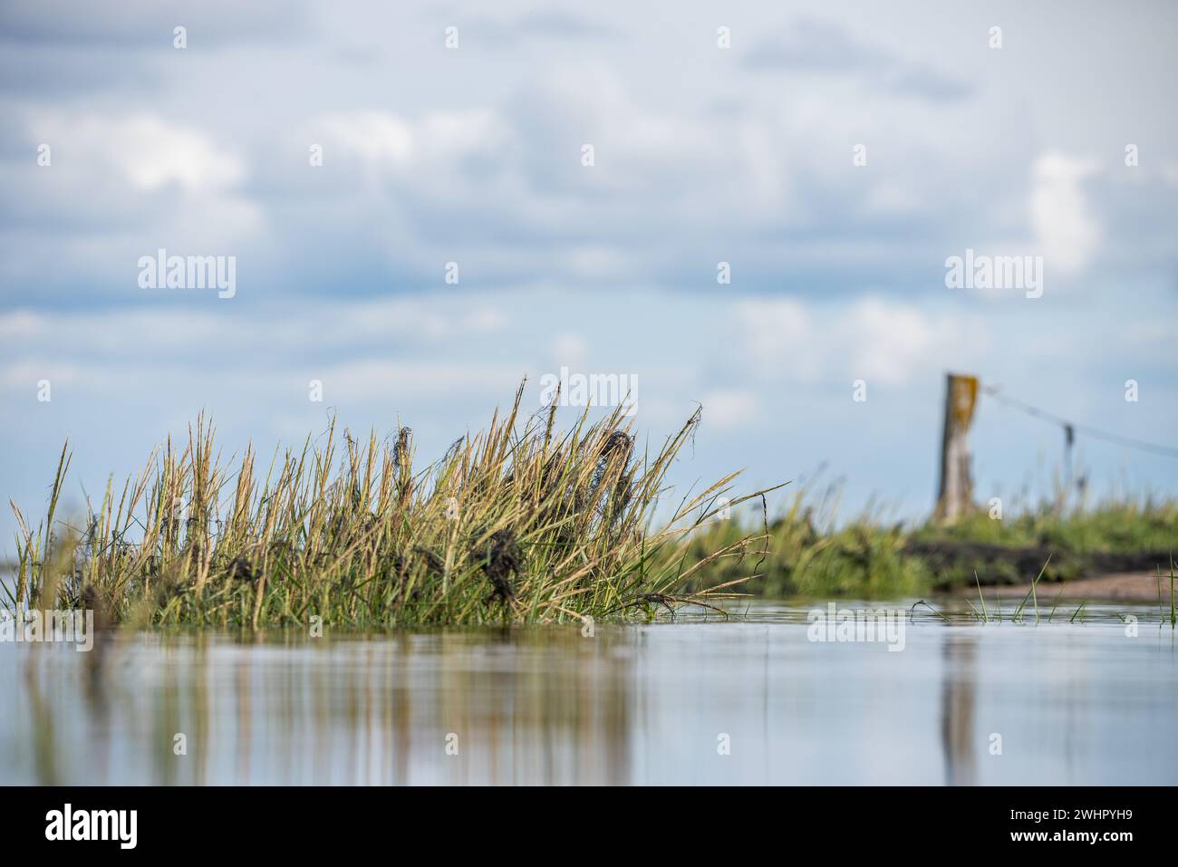 Reflection on the shore zone of the wadden sea hi-res stock photography ...
