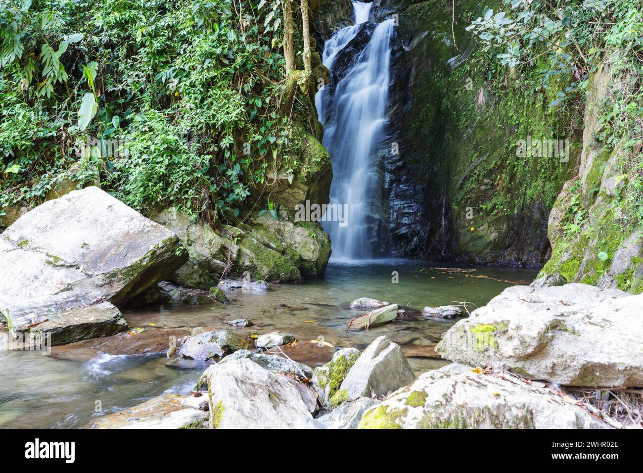 Amazon rainforest colombia aerial hi-res stock photography and images ...