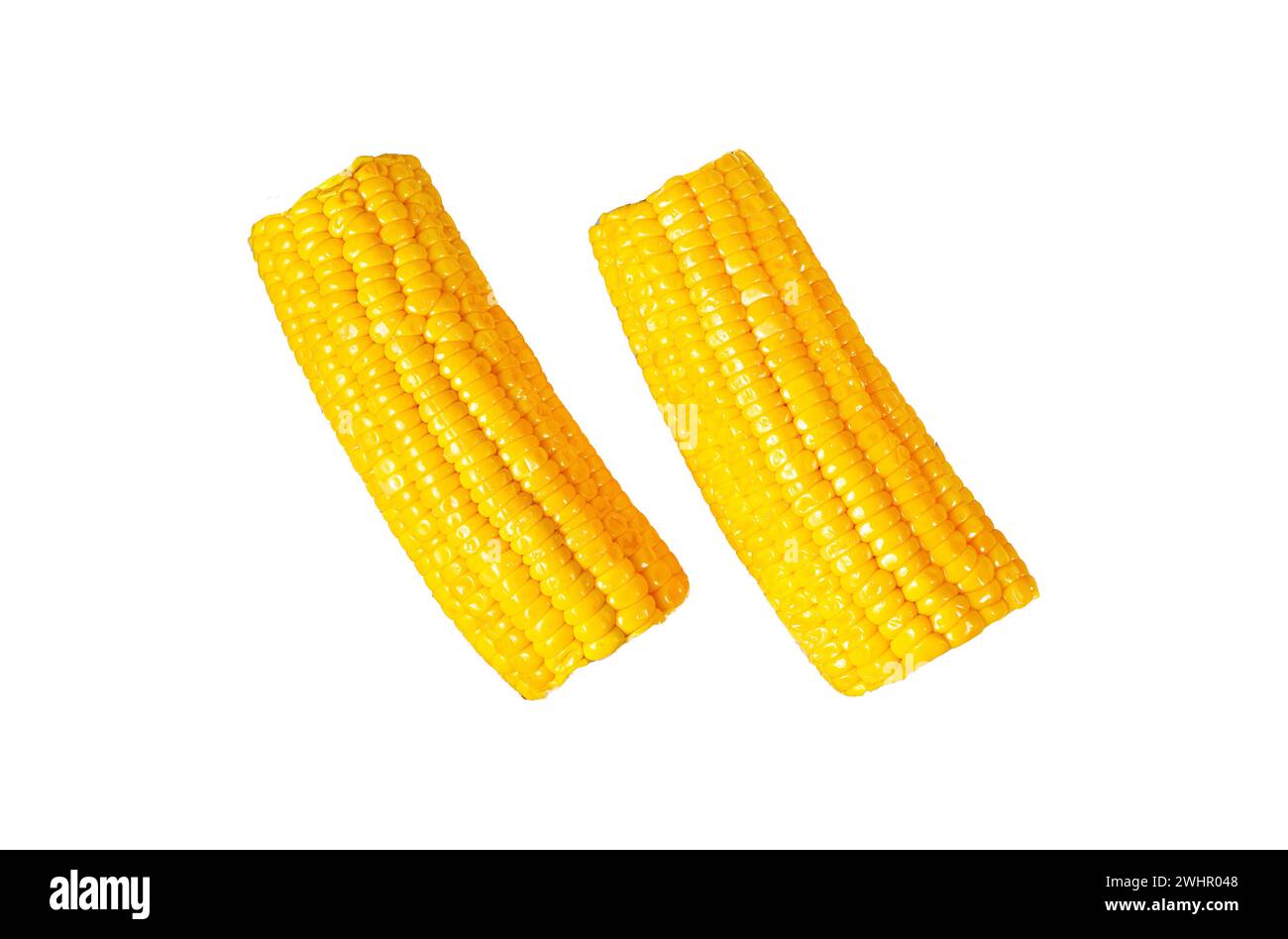Boiled sweet corn on the cob. Isolated on white background. Top view ...