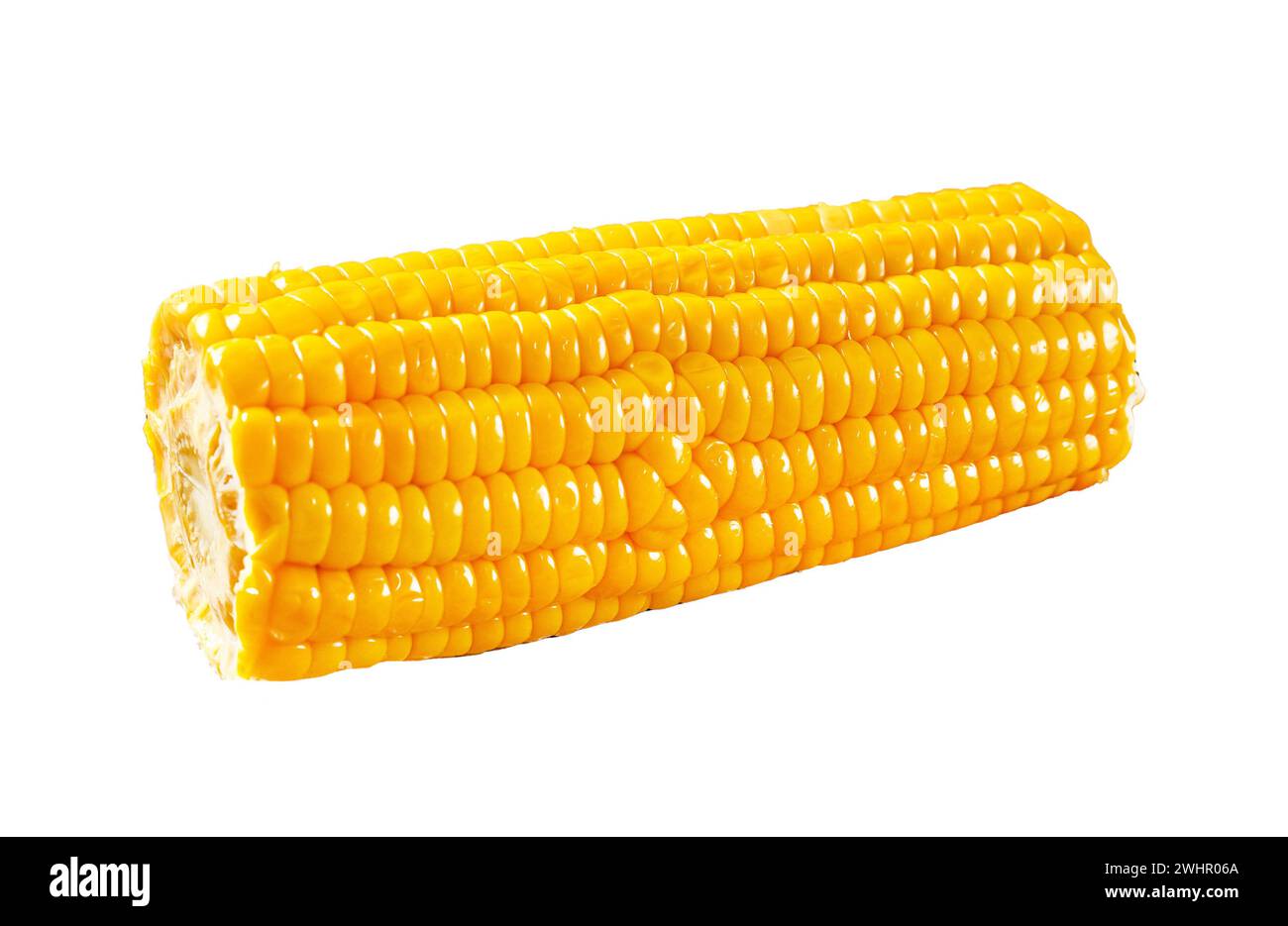 Sweet corn on the cob. Organic farm vegetables. Isolated on white ...