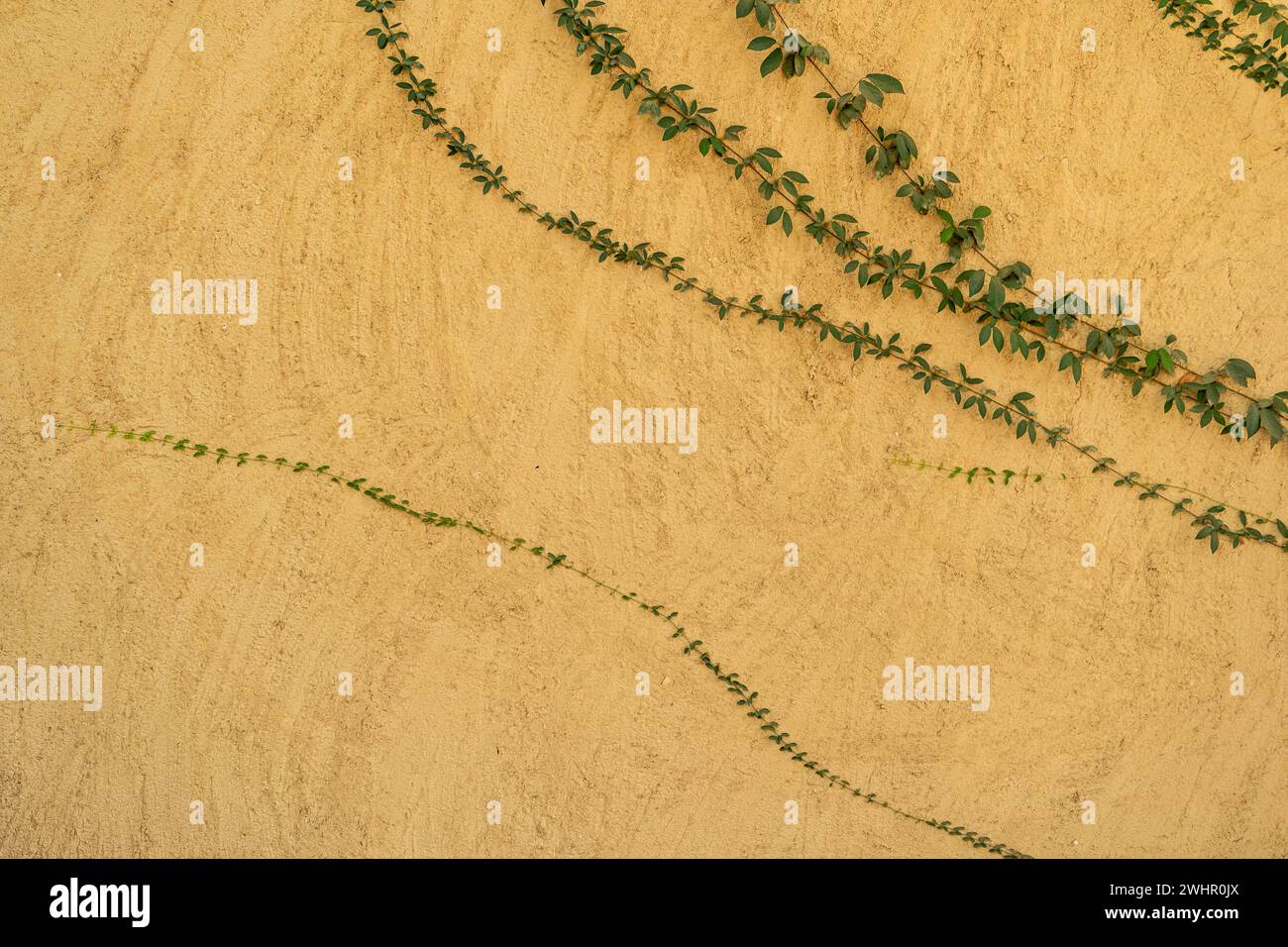 Abstract clay wall grunge texture background interior decoration mud ...