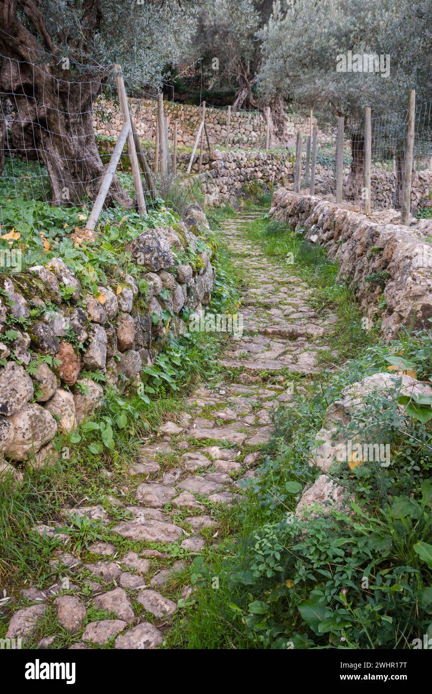 Rocafort hi-res stock photography and images - Alamy