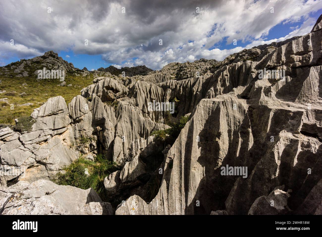 Entertain relieve hi-res stock photography and images - Alamy