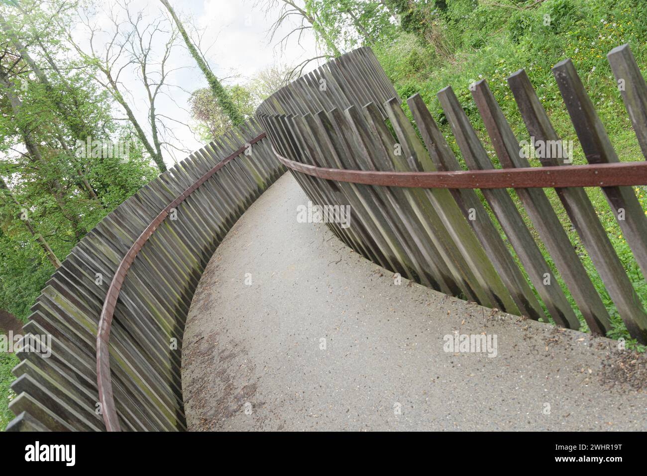 Pedestrian curved bridge in a forest park made of concrete and wood ...