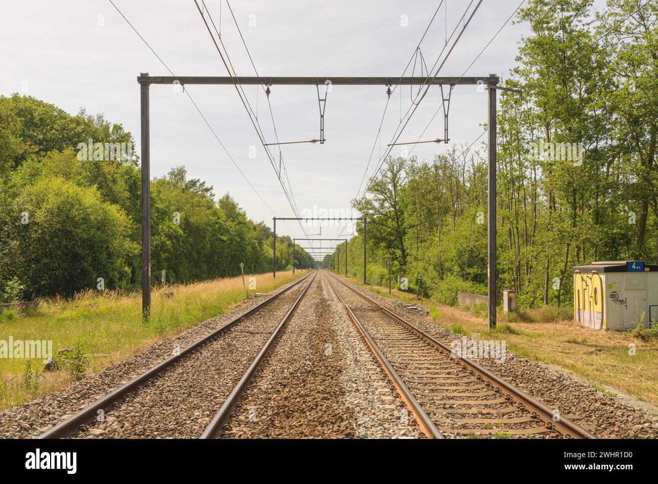 railway tracks with electric wires passing between green trees out of ...