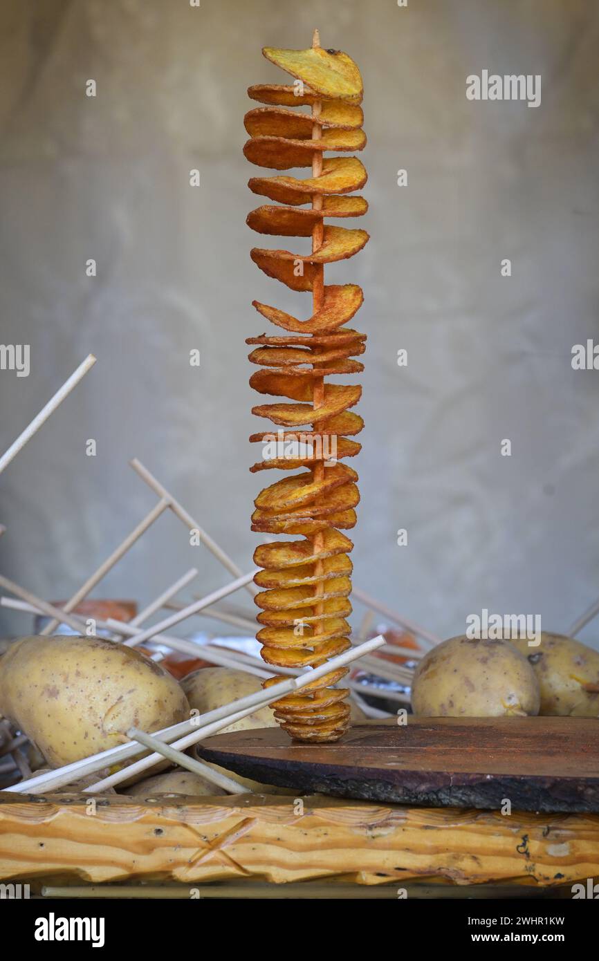 Fried spiral potato on a wooden skewer seasoned with paprika and salt ...