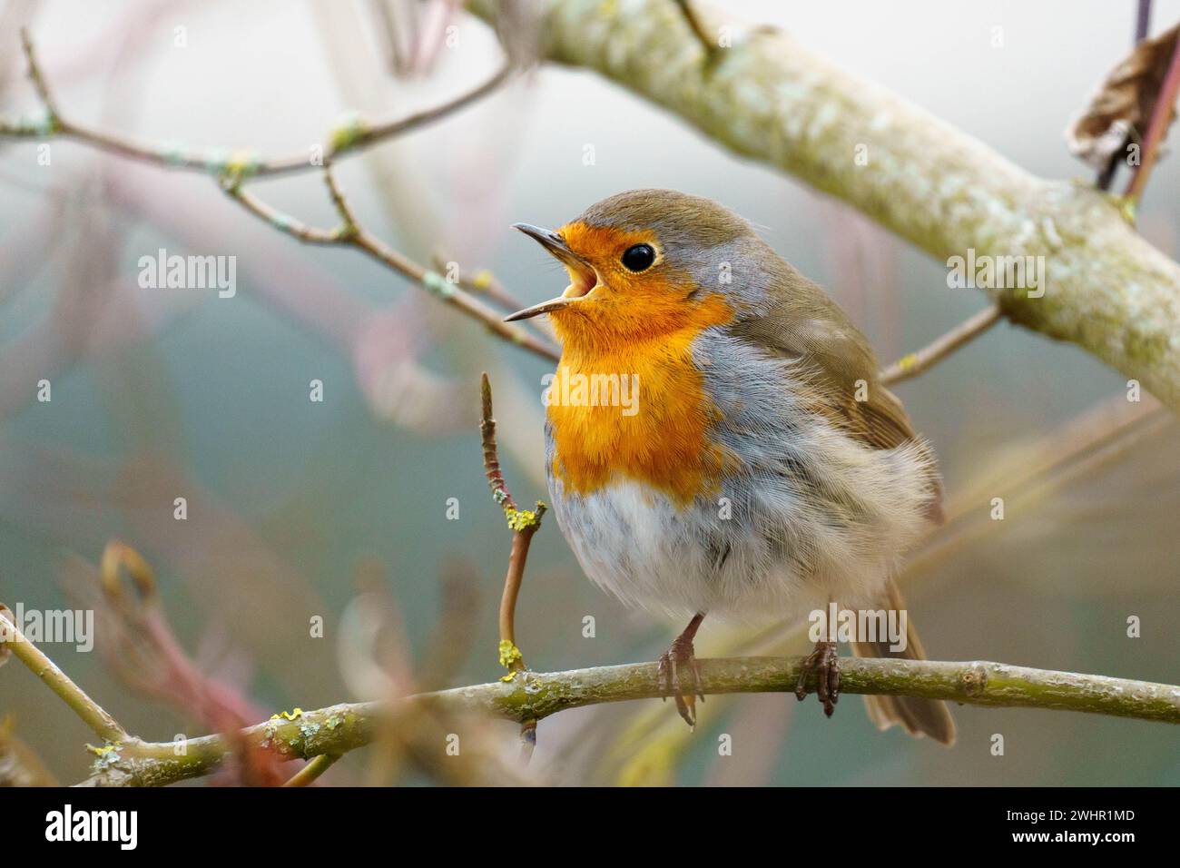 Sings of spring hi-res stock photography and images - Alamy