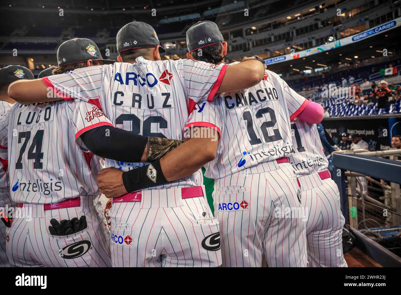 MIAMI, FLORIDA - FEBRUARY 1: Equipo de los Naranjeros de Mexico , Team ...