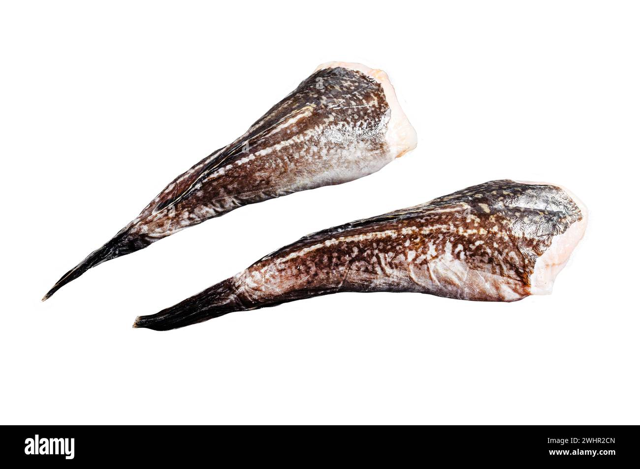 Raw monkfish without a head. Isolated on white background. Top view ...