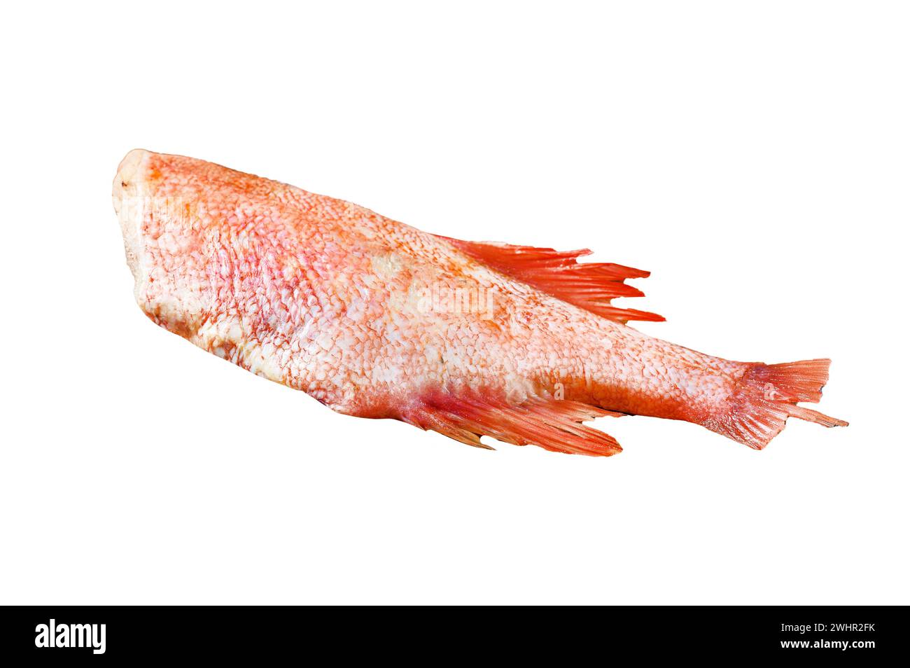 Raw red sea perch. Isolated on white background. Top view Stock Photo ...