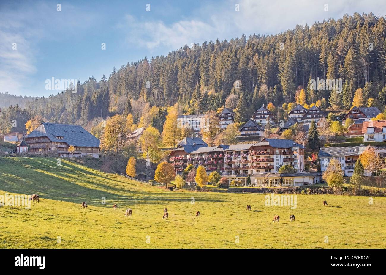 Hinterzarten, Breisgau-Hochschwarzwald district Stock Photo - Alamy