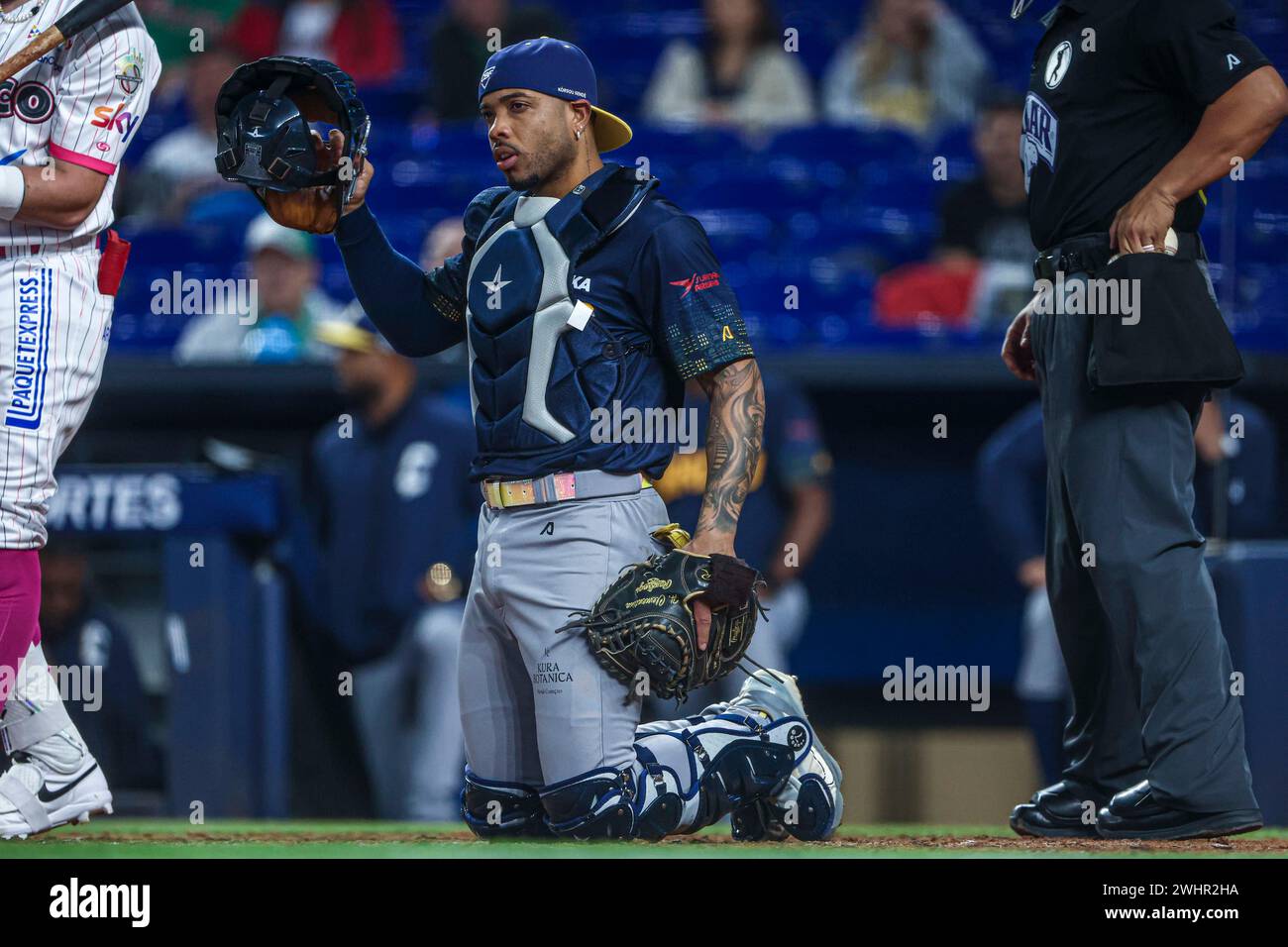 MIAMI, FLORIDA - FEBRUARY 1: Hendrik Clementina catcher of Curazao ...