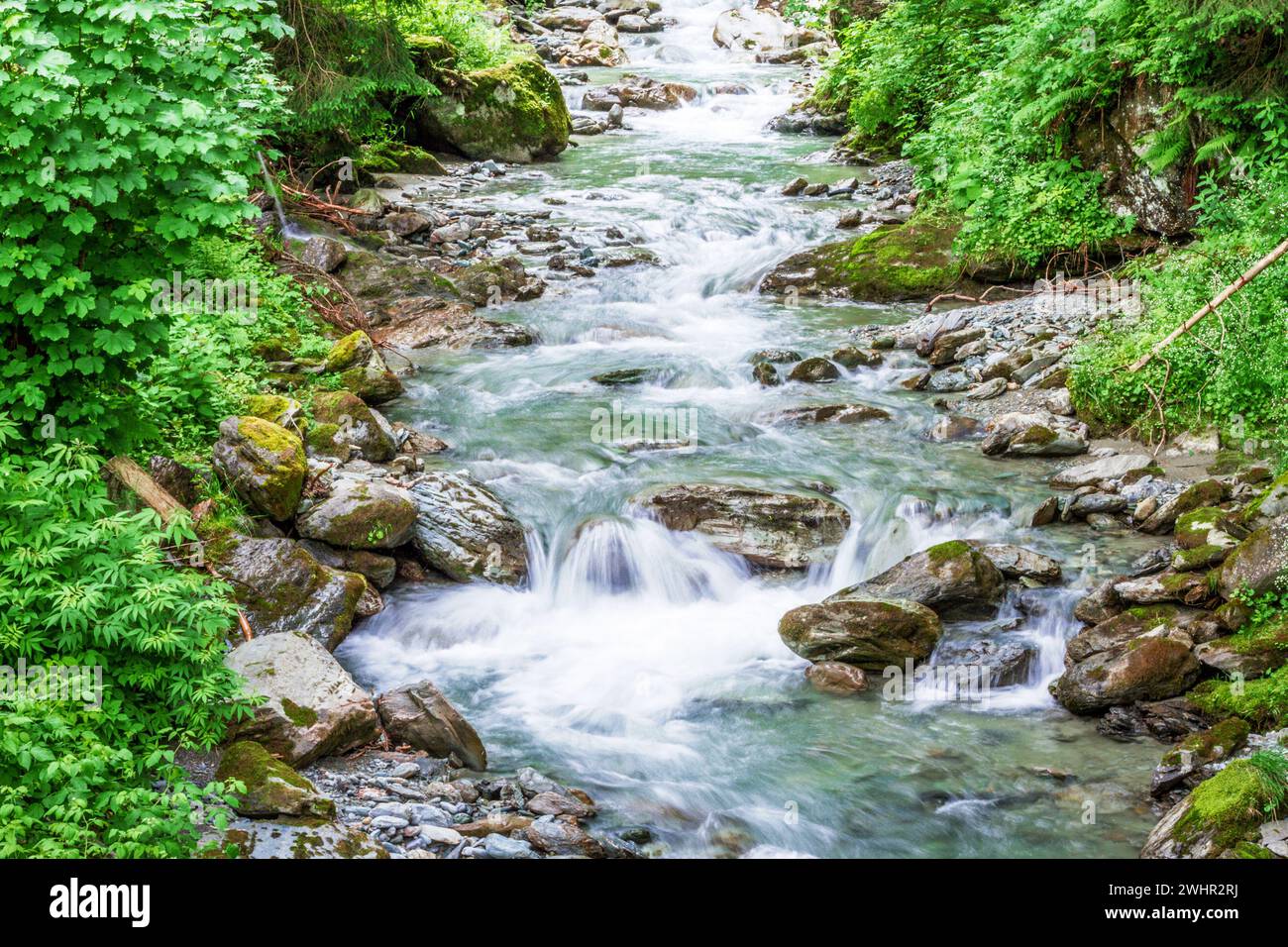 Beautiful mountain stream rain forest hi-res stock photography and ...