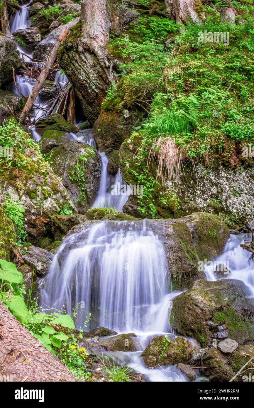 Forest stream running over rocks hi-res stock photography and images ...
