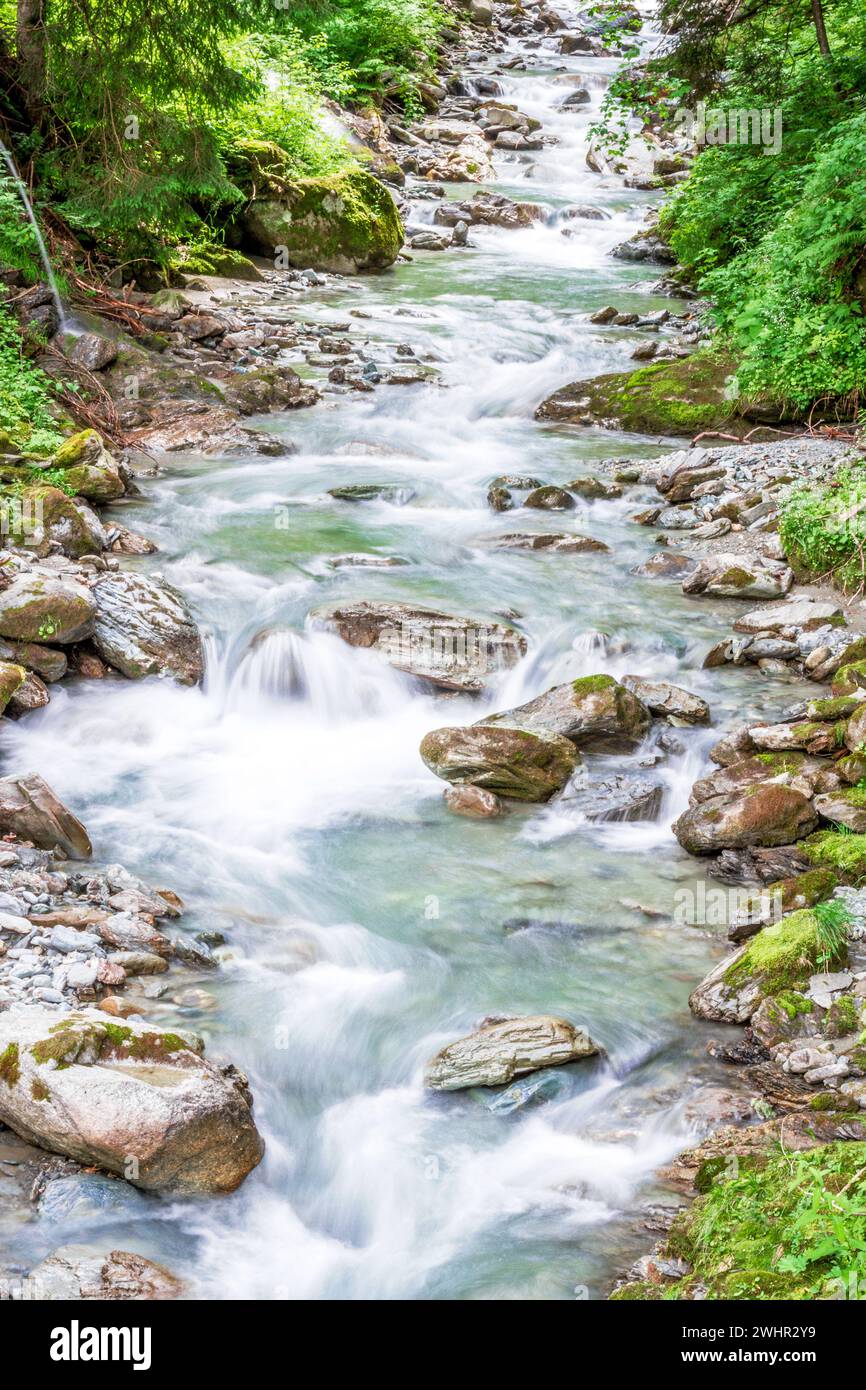 Beautiful mountain stream rain forest hi-res stock photography and ...