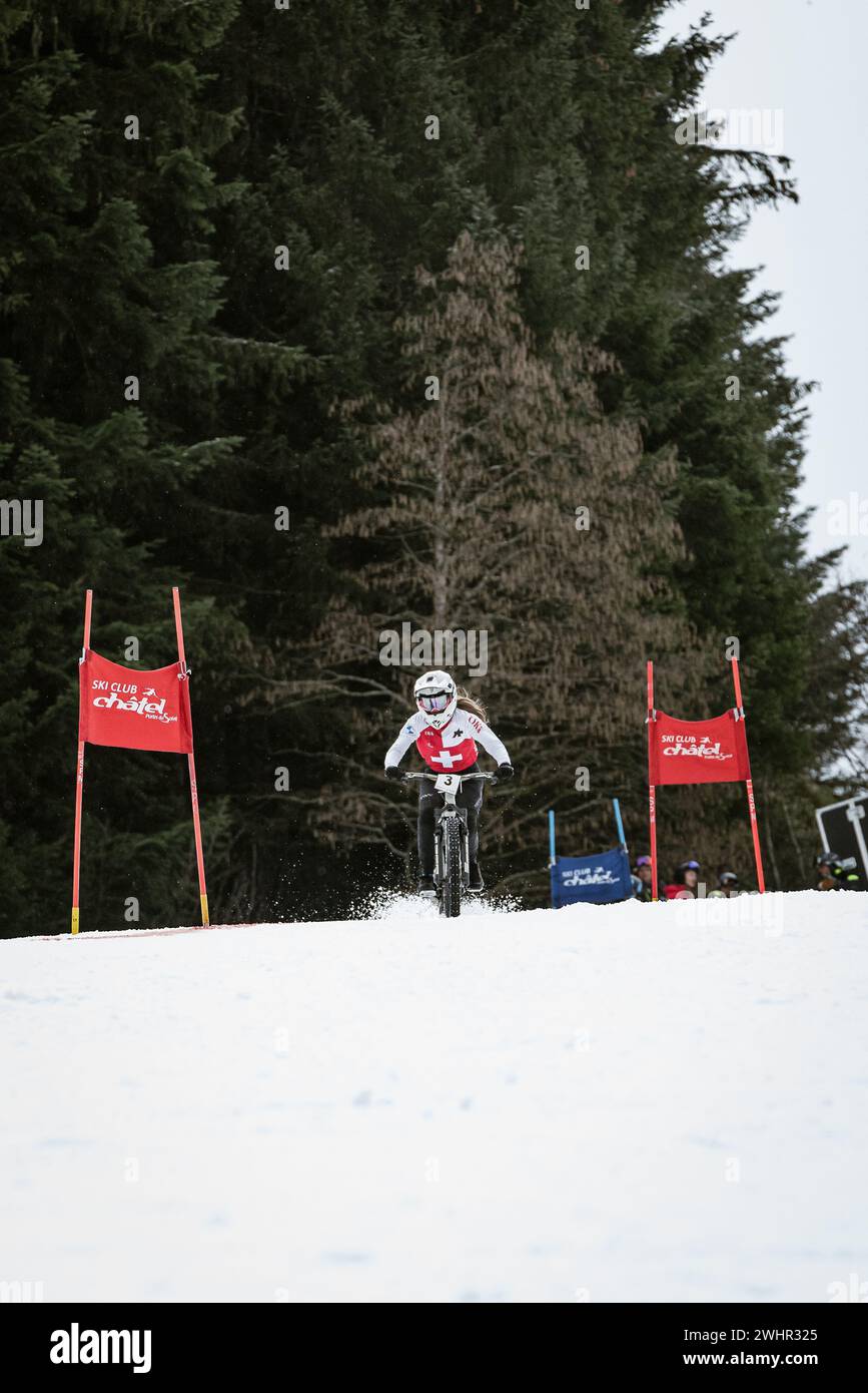Lisa BAUMANN of Switzerland 1st place in the Women Elite Dual Slalom ...