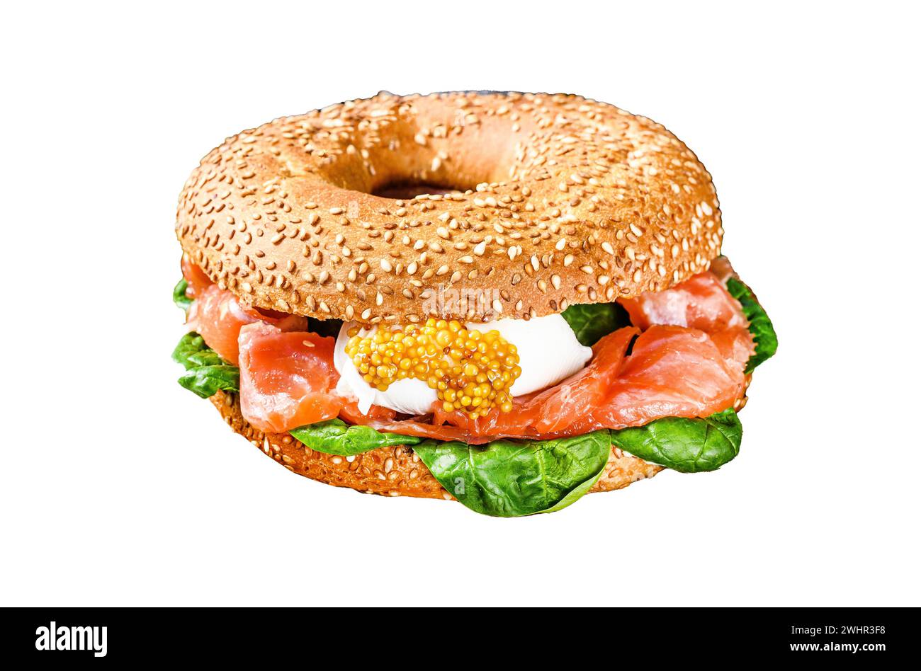 Healthy freshly baked bagel filled with smoked salmon, spinach and egg ...