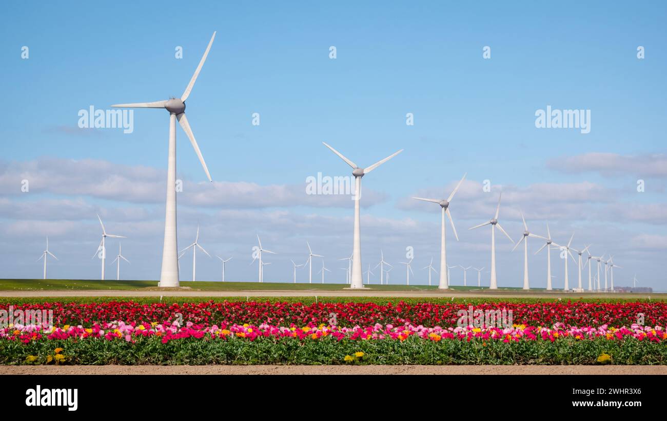 Offshore windmill park with clouds and a blue sky, wind mill turbines ...