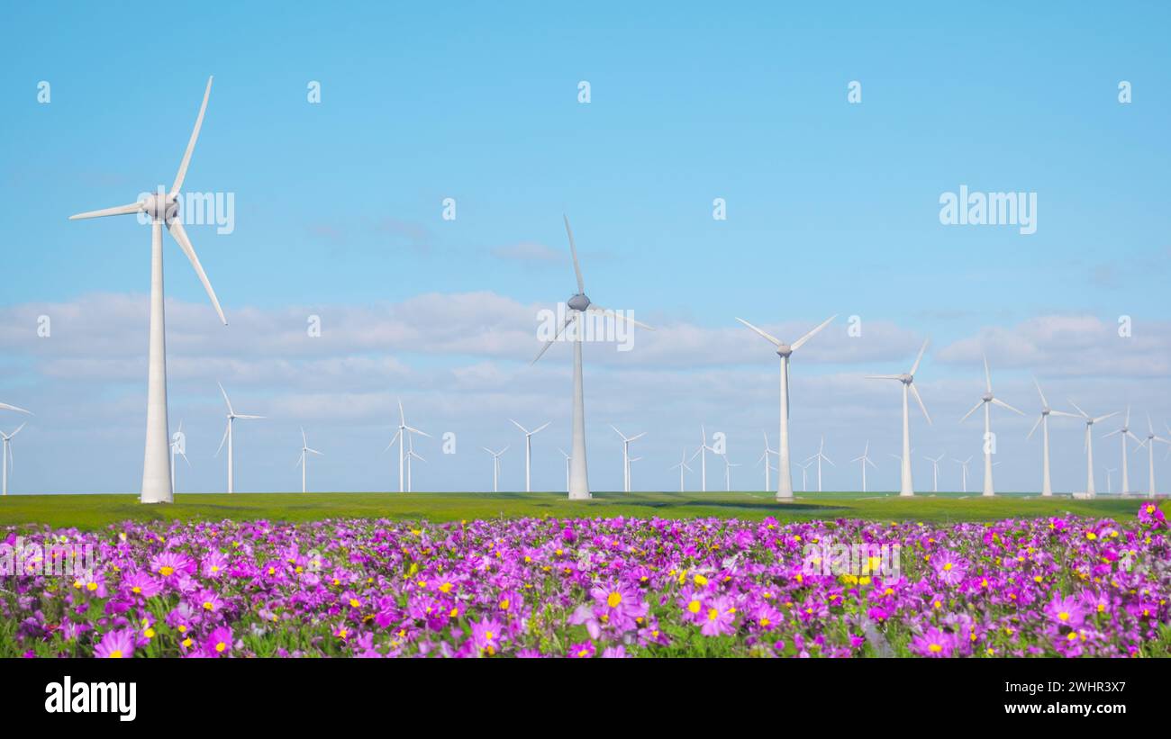 Offshore windmill park with clouds and a blue sky, wind mill turbines ...