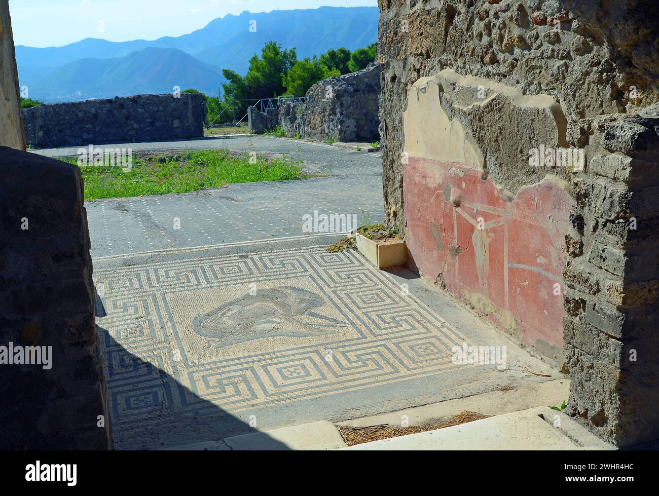Pompeii, mosaic with the guard dog Stock Photo - Alamy