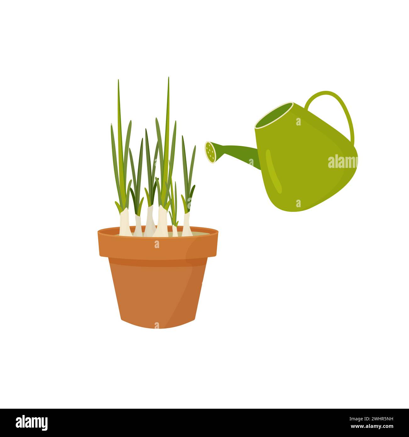 Scissors vector cartoon hi-res stock photography and images - Alamy