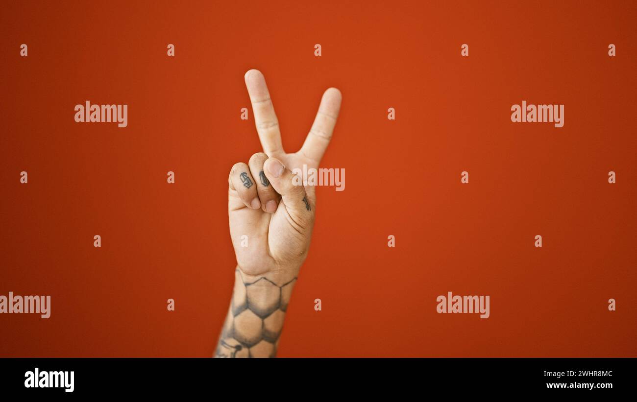 Man's hand amped up with v for victory sign over isolated red wall, man ...