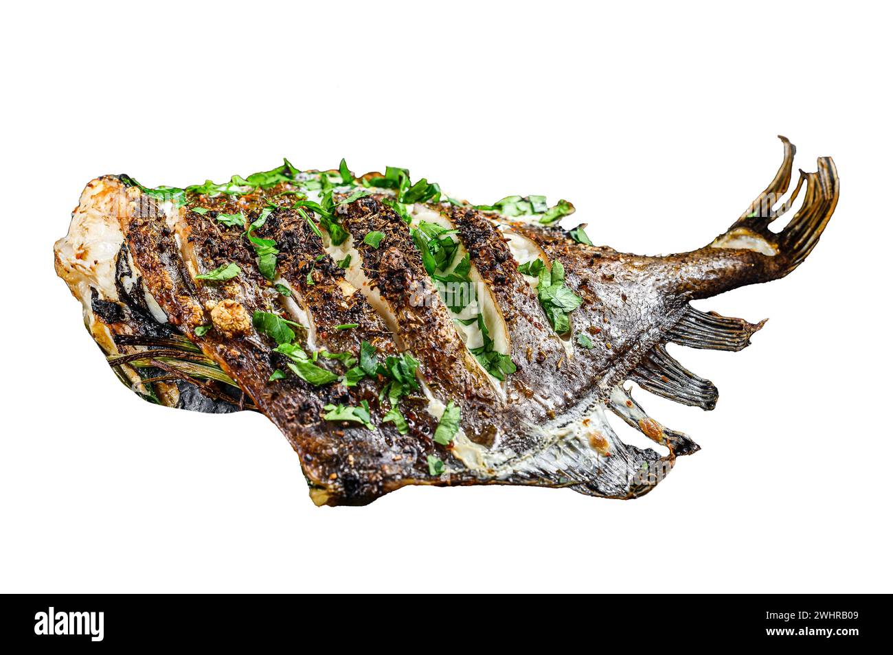 Fried Dory fish with lime and parsley Isolated on white background. Top ...