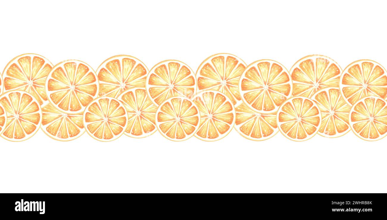Seamless border with oranges fruit round slice. Watercolor hand drawn ...
