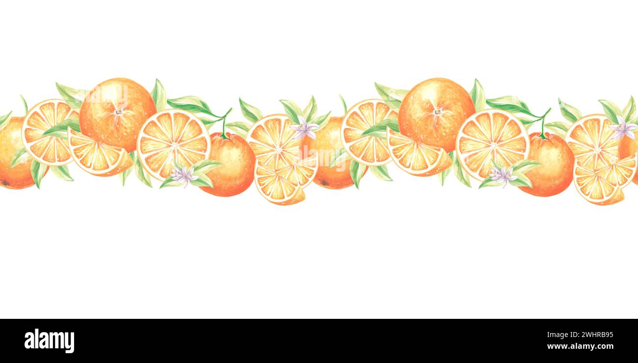 Seamless border with oranges fruit, slice, flowers and leaves ...