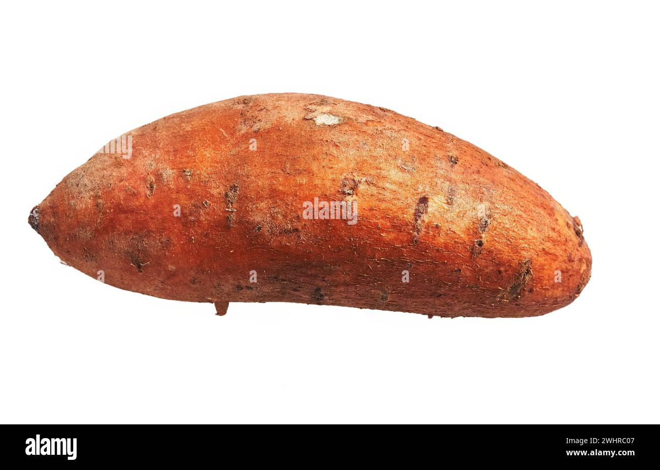 Single organic sweet potato isolated on a white background, displaying ...