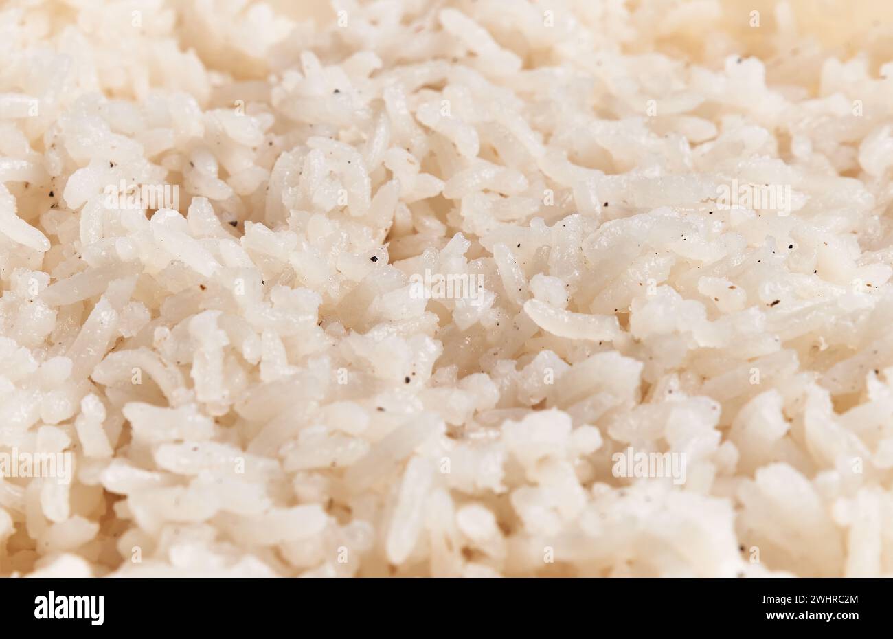 Close-up view of cooked white rice grains seasoned with specks of black ...