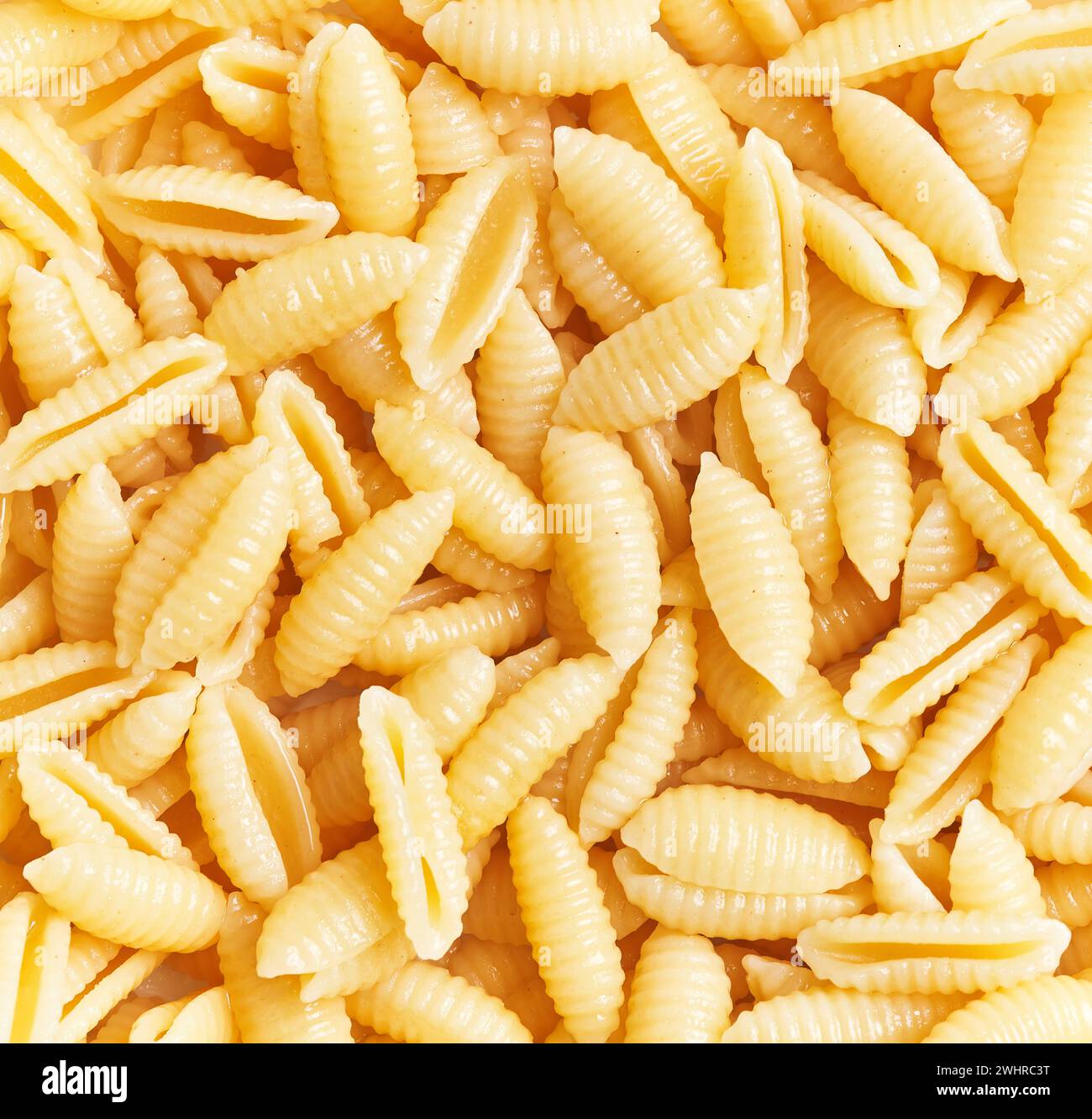 Close-up texture of uncooked italian gnocchi pasta for culinary ...