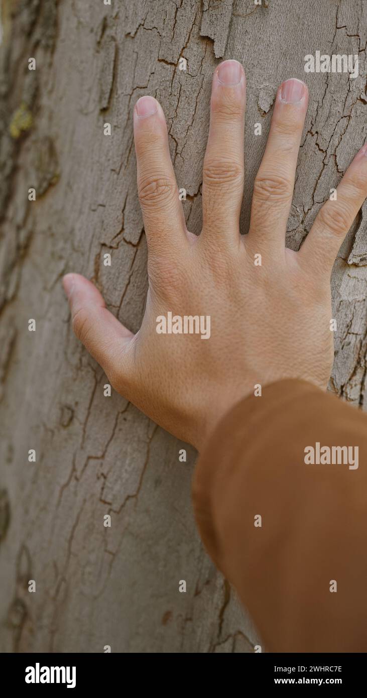 Mans hand gently touches rough hi-res stock photography and images - Alamy