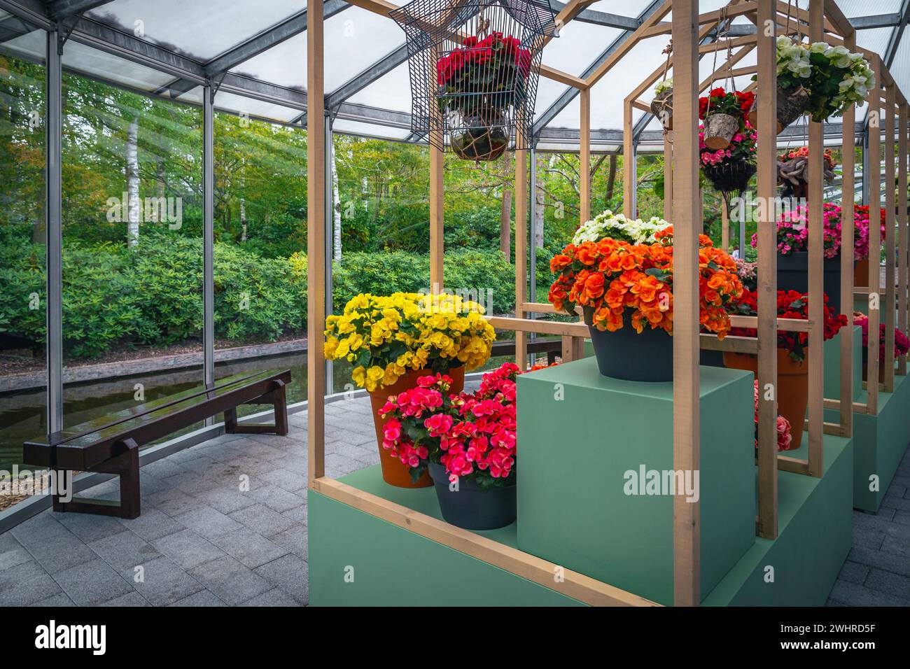 Arrangement of various flower hi-res stock photography and images - Alamy