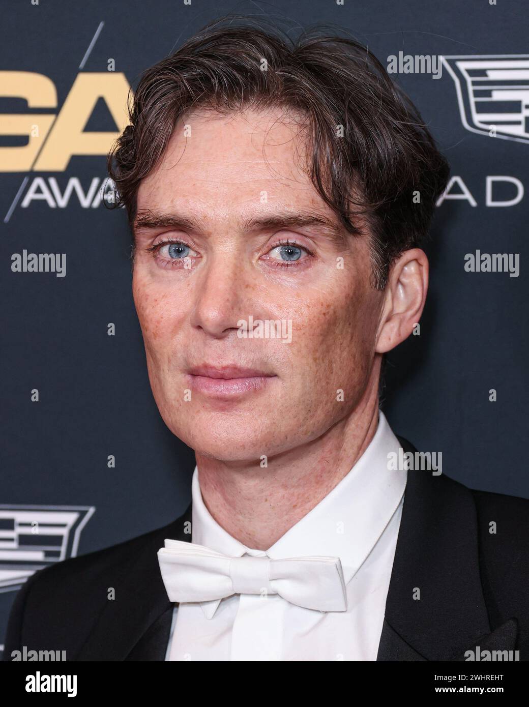 BEVERLY HILLS, LOS ANGELES, CALIFORNIA, USA - FEBRUARY 10: Cillian ...