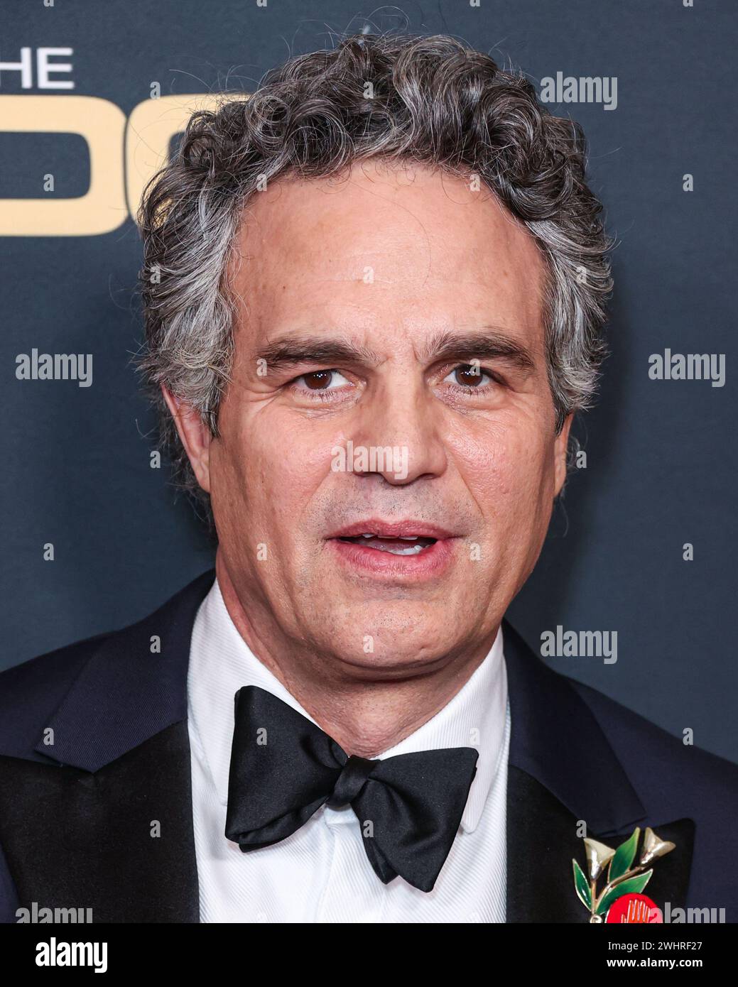 BEVERLY HILLS, LOS ANGELES, CALIFORNIA, USA - FEBRUARY 10: Mark Ruffalo ...