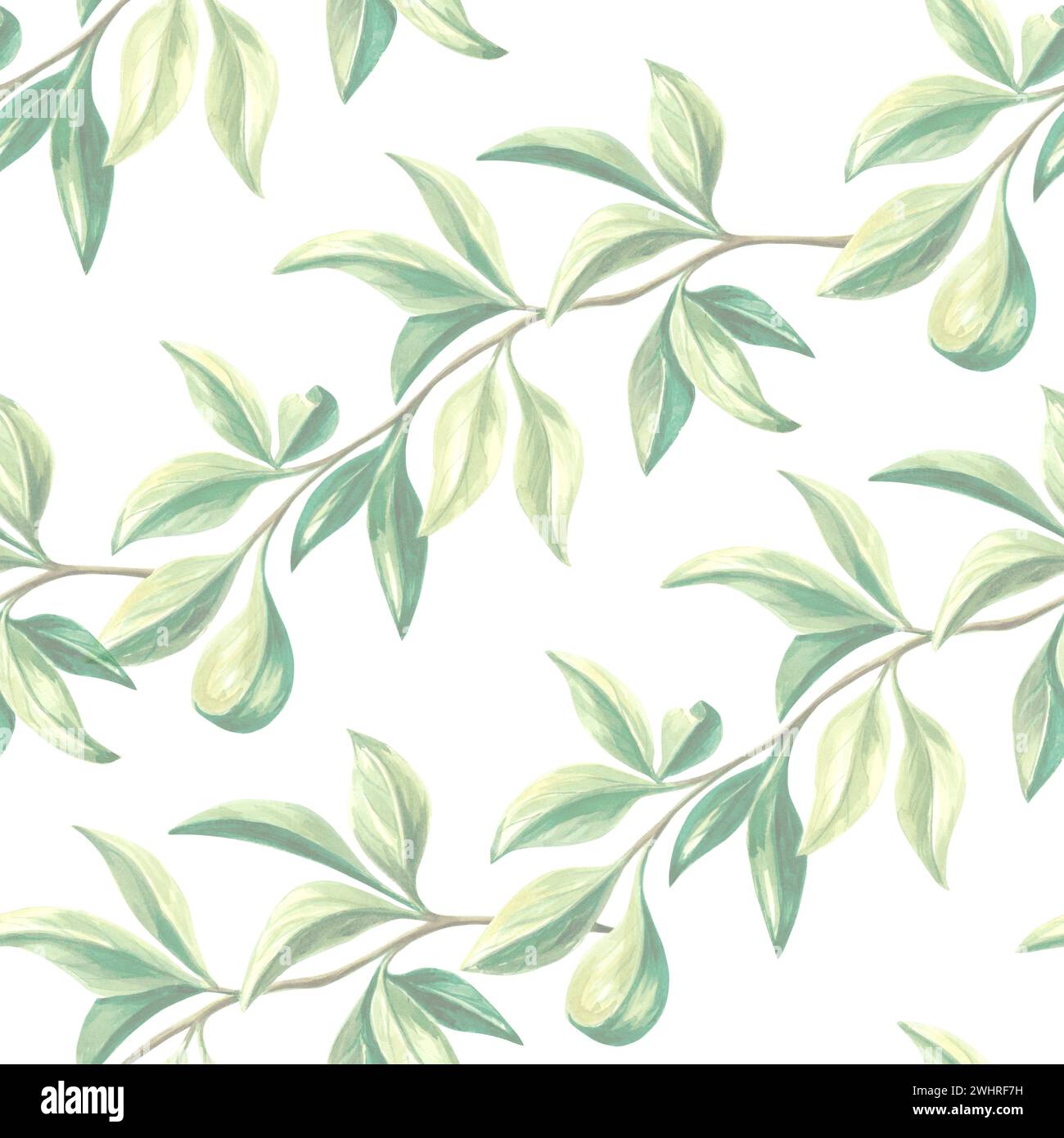 Seamless pattern with green leaves of oranges tree. Hand drawn ...