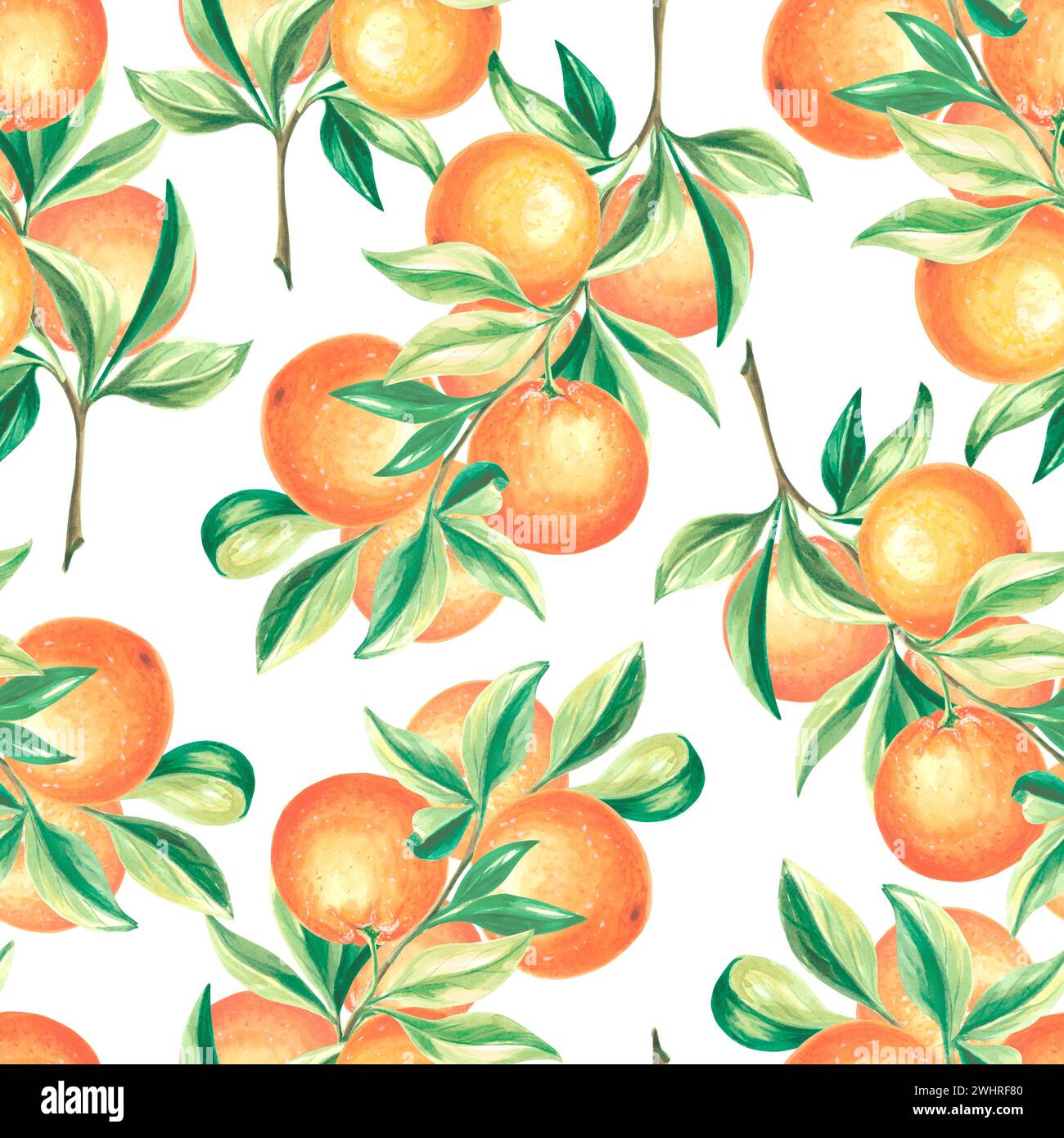 Seamless pattern with oranges fruit and leaves. Watercolor hand drawn ...