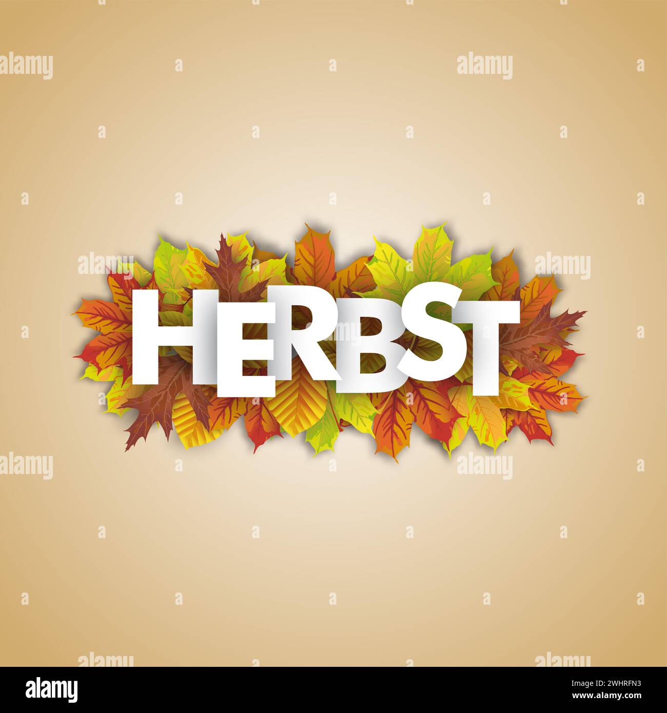 Vector autumn oak leaves hi-res stock photography and images - Alamy