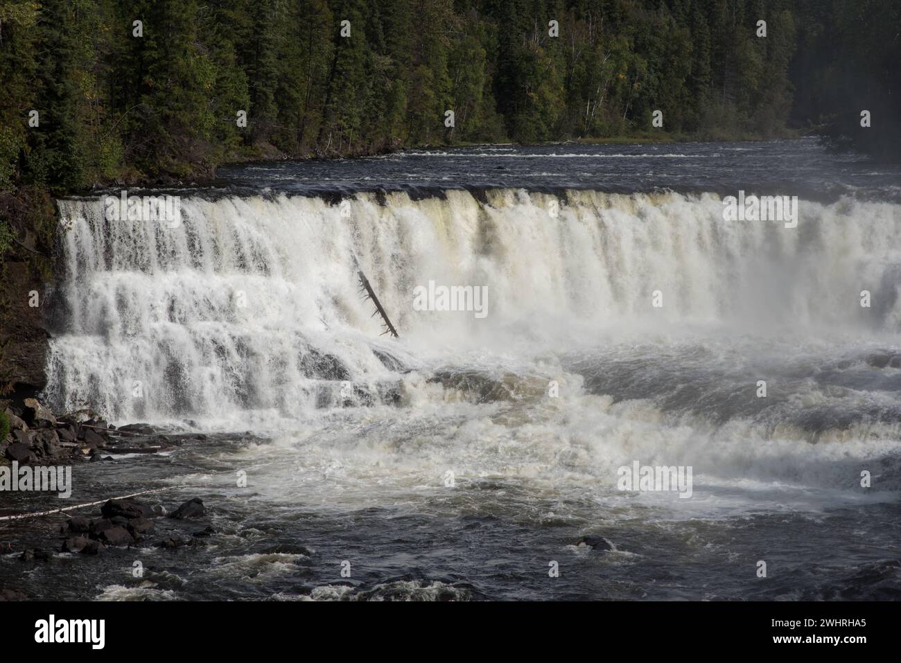 Dawson Falls is a spectacular waterfall fall just 18 meters high but ...