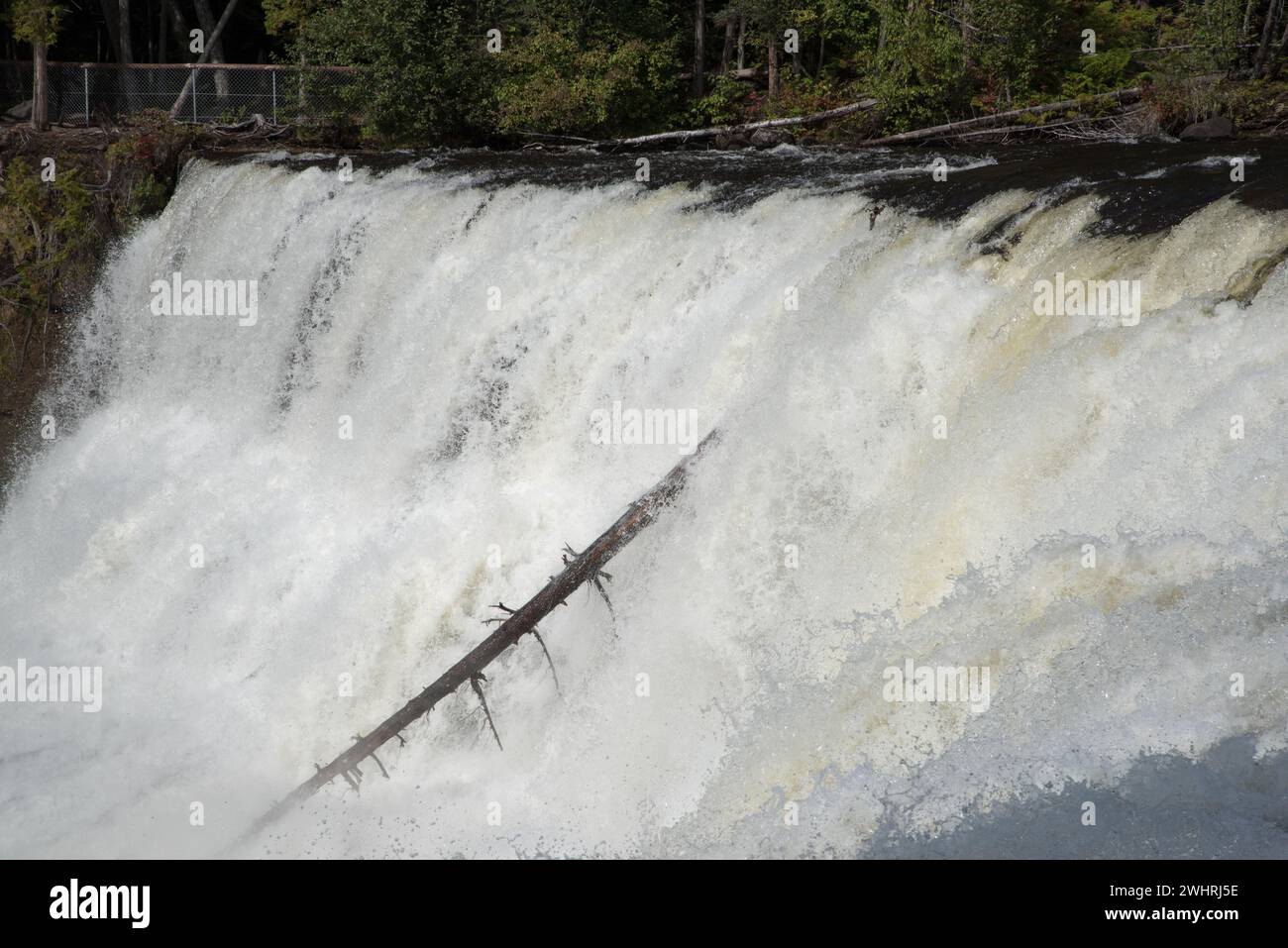 Dawson Falls is a spectacular waterfall fall just 18 meters high but ...